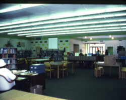 Library History Collection - Memphis Public Libraries